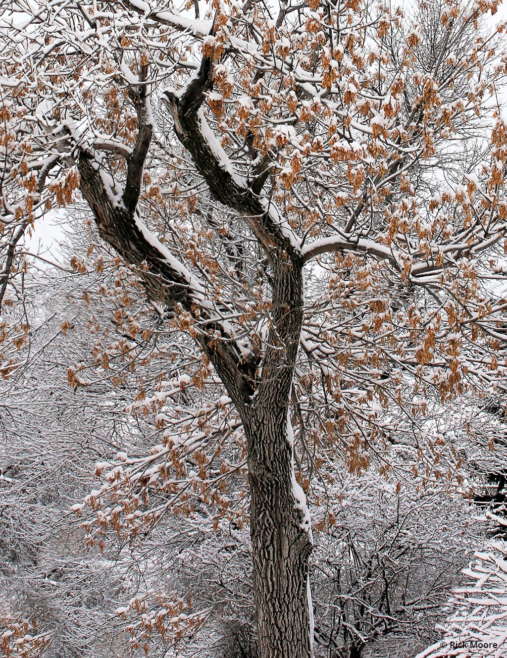 Photo Of The Day By Rick Moore - Outdoor Enthusiast Lifestyle Magazine