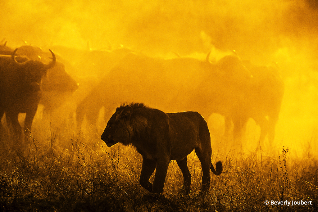 Wild Exposures - Outdoor Enthusiast Lifestyle Magazine